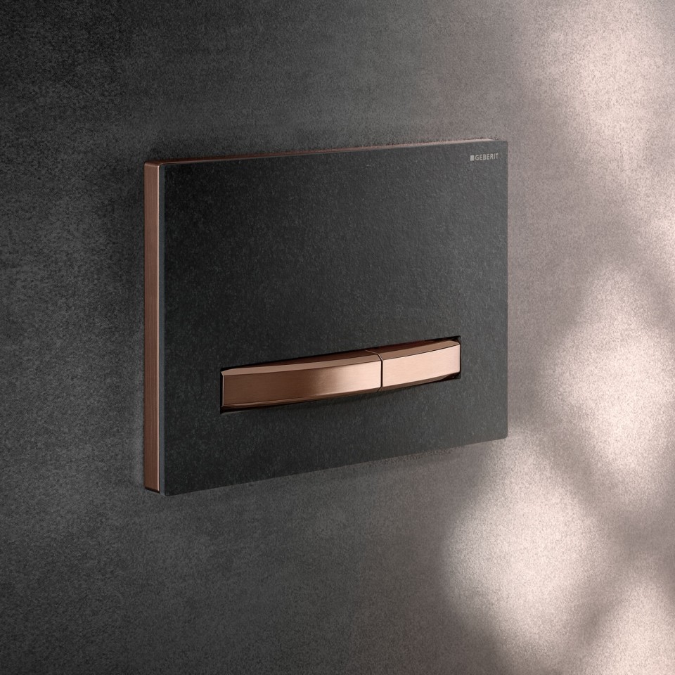 Plaques de déclenchement et commande de WC | Geberit.ch